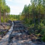 Heavy Equipment Mats | Blizzard Mats